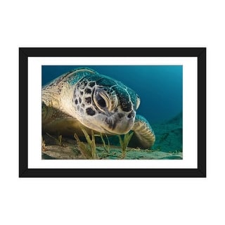 iCanvas "Gaze" by Dmitry Marchenko - Bed Bath & Beyond - 37382689